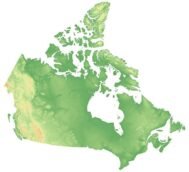Buy high-quality Canada 3D Model Terrain for 3D Design and Art