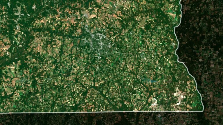 Buy Alabama Satellite Map – Ideal for Education, Decor, and Gifts
